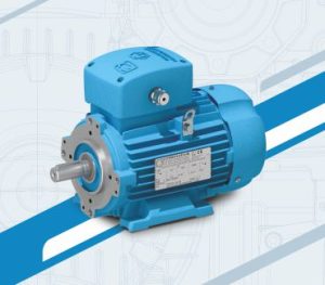 REVVO ExD Motors – Rotomotive